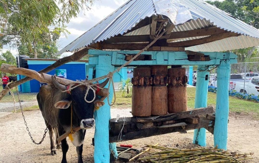 Comunidad de Hato Mayor usa trapiche como atractivo turístico - eltiempo