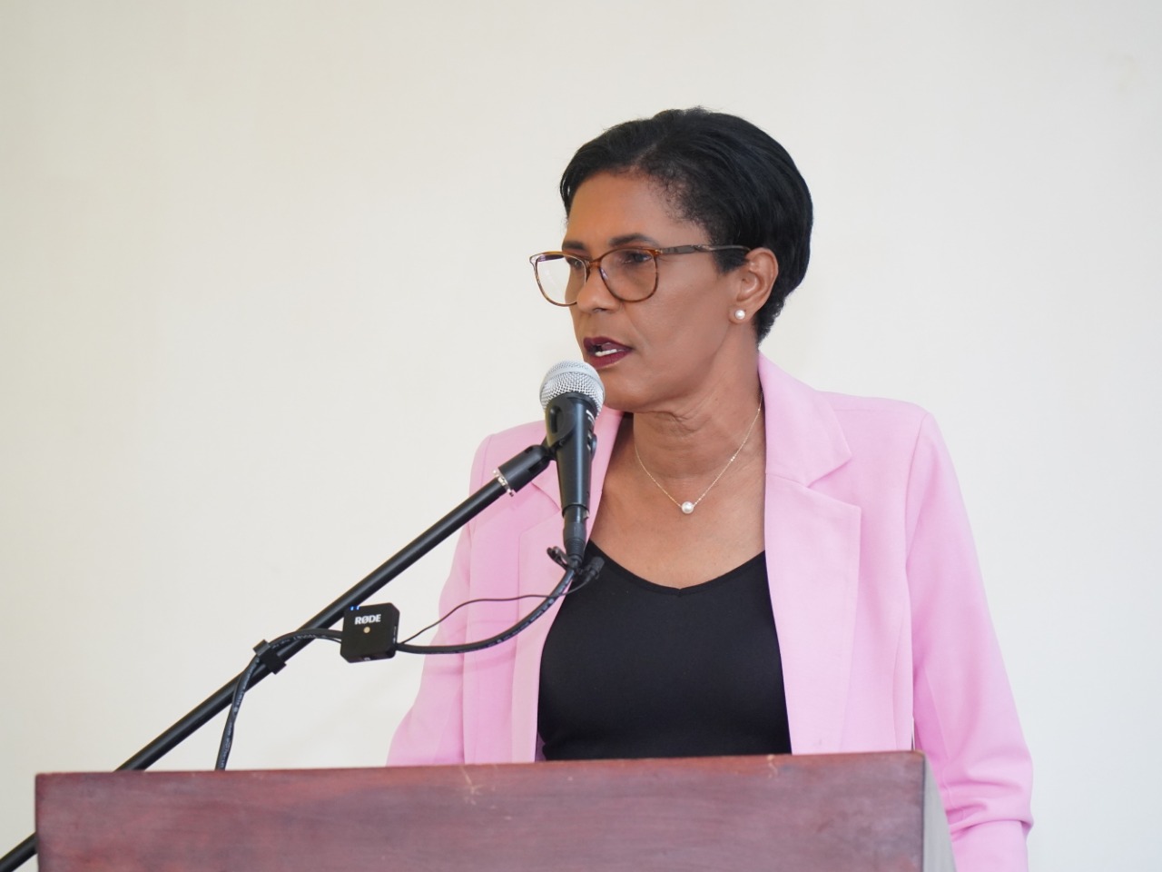 Martina Pepén Santana Encabeza Reunión Para Abordar Problemas De Inscripción En La Regional 12